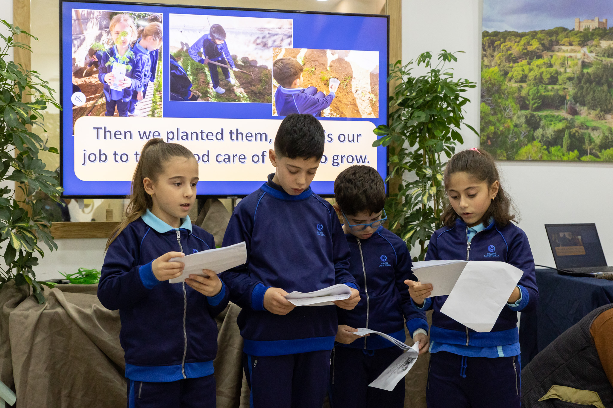 Malta proposes national insect status for the Maltese honey bee - DigInto